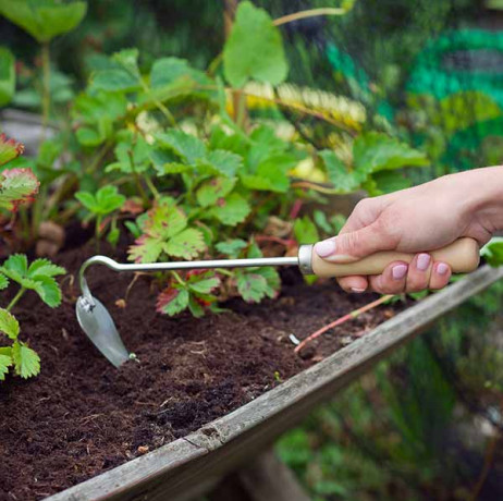 Binette multiusage. - Atout loisir