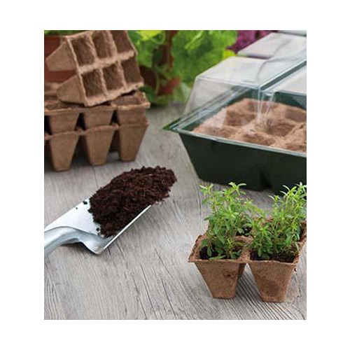 Le semis au jardin : comment cela fonctionne