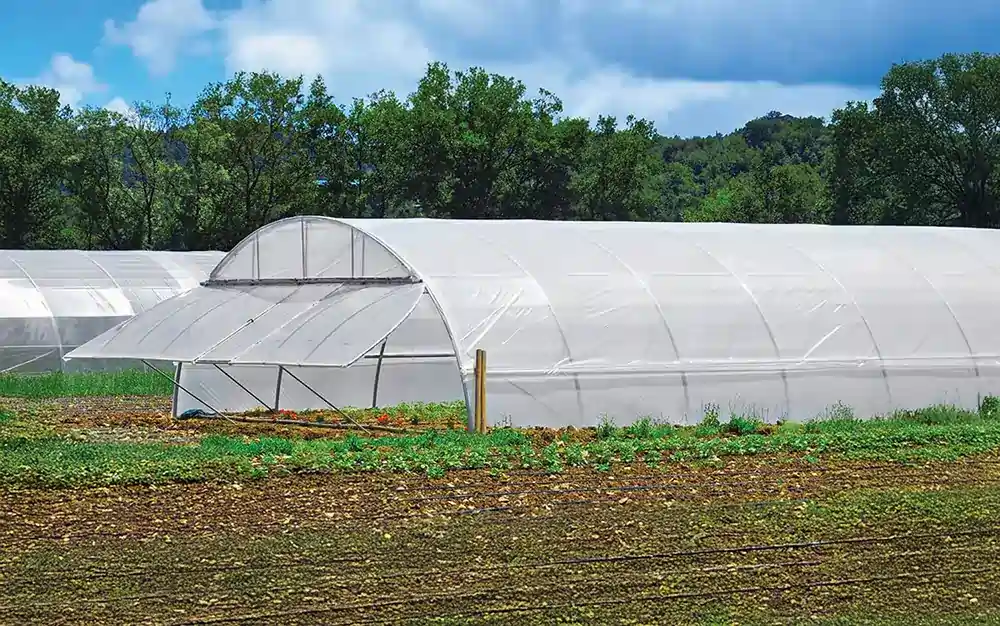 La serre agricole, un choix d'exception pour vos cultures